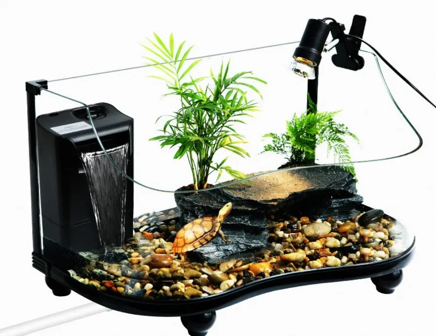 Caring for Turtles, Starting with a Turtle Tank: Why a Turtle Tank is ...